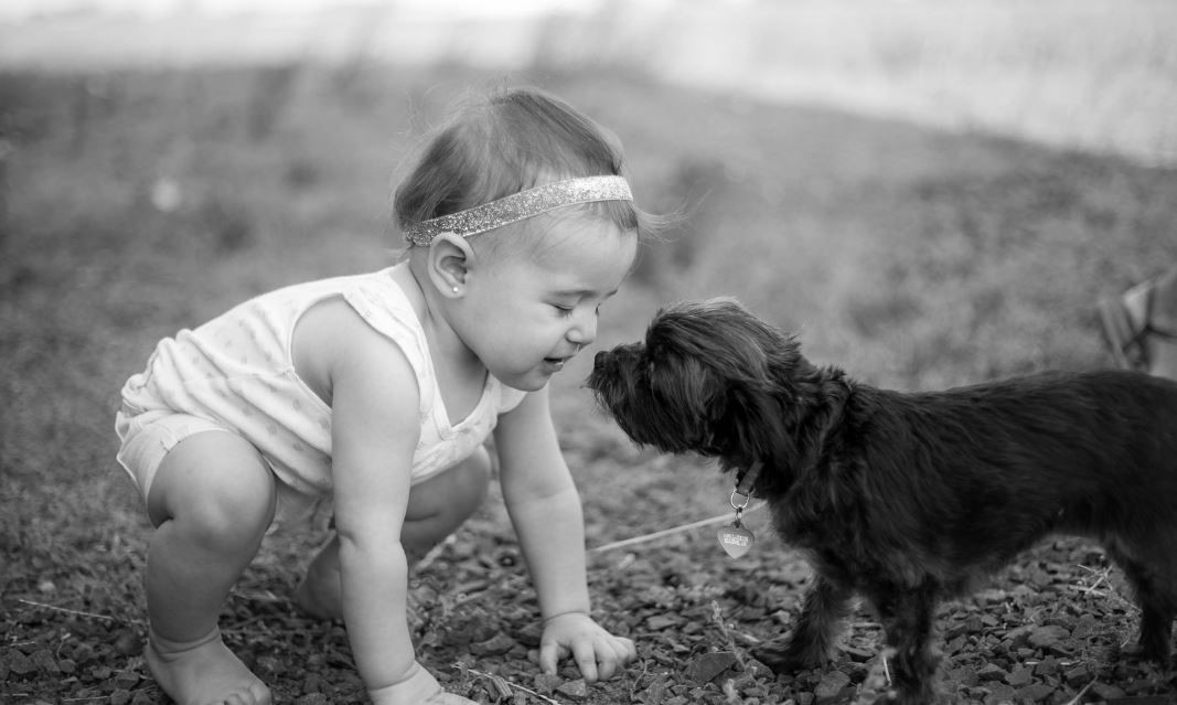 How Owning a Dog Will Change Your Life